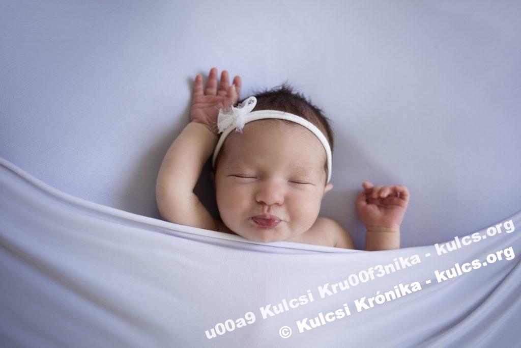 Online Krónika – Kulcsi Krónika